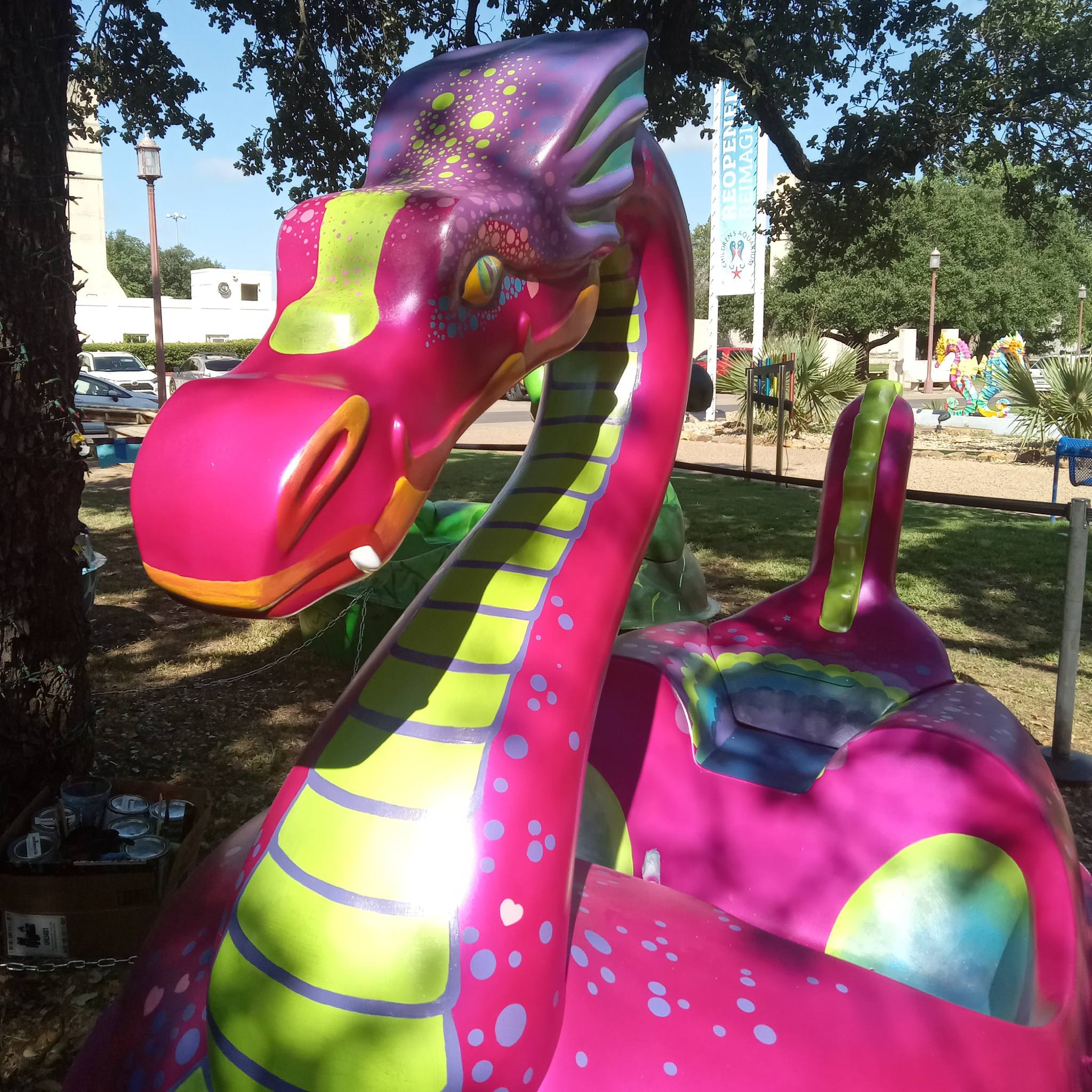 Sea Dragon Safari at Children’s Aquarium in Fair Park – Dan Colcer